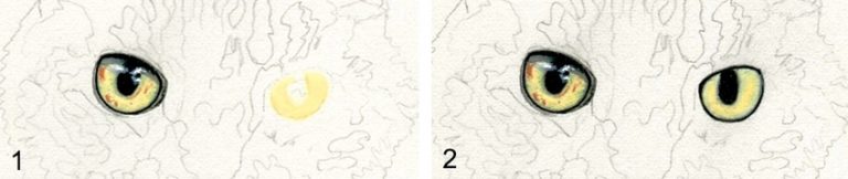 How to Draw Animals - Instructions for Easy Drawings of Animals