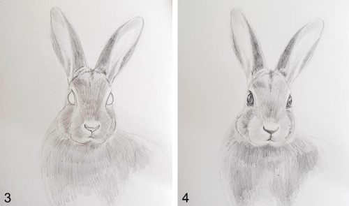 How to Draw a Bunny Face - Do an Easy Bunny Head Drawing (10 Steps)