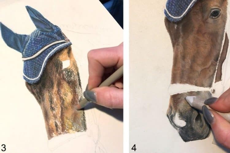 How to Draw a Horse Head - Create your Own Horse Head Drawing