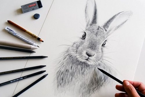 How to Draw a Bunny Face - Do an Easy Bunny Head Drawing (10 Steps)
