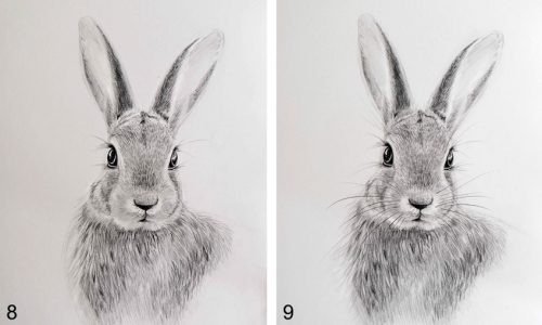 How to Draw a Bunny Face - Do an Easy Bunny Head Drawing (10 Steps)