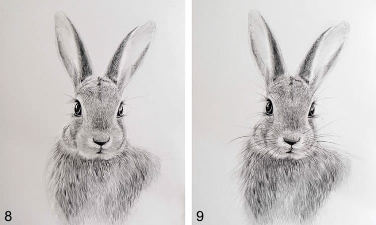 How to Draw a Bunny Face - Do an Easy Bunny Head Drawing (10 Steps)