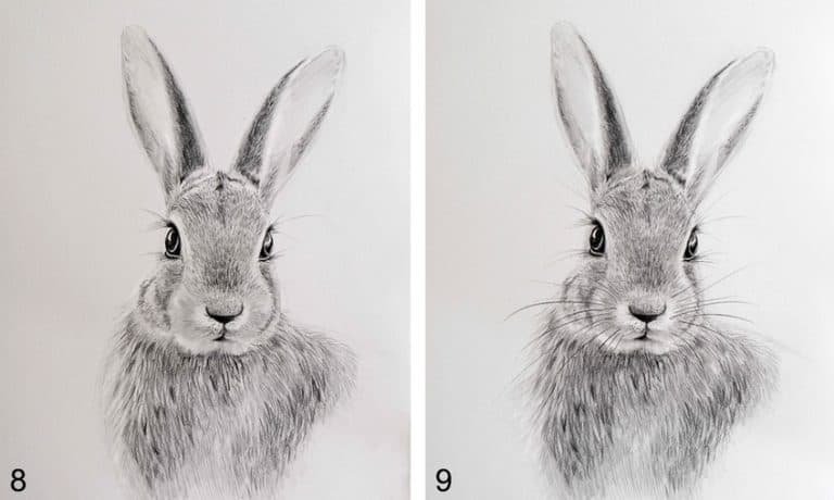 How to Draw a Bunny Face - Do an Easy Bunny Head Drawing (10 Steps)
