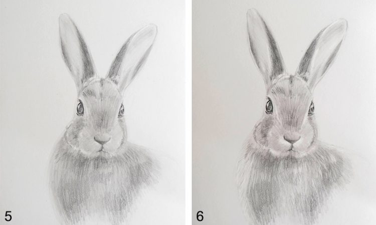 How to Draw a Bunny Face - Do an Easy Bunny Head Drawing (10 Steps)
