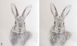 How to Draw a Bunny Face - Do an Easy Bunny Head Drawing (10 Steps)