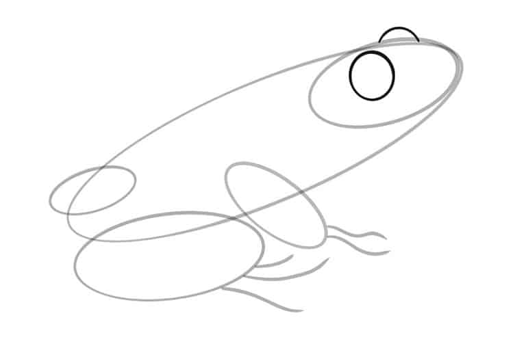How to Draw a Frog – Drawing Tutorial for Artists of any Level