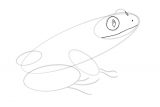 How to Draw a Frog – Drawing Tutorial for Artists of any Level