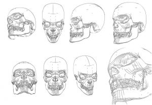 How to Draw a Skull – A Step-by-Step Skull Drawing Tutorial