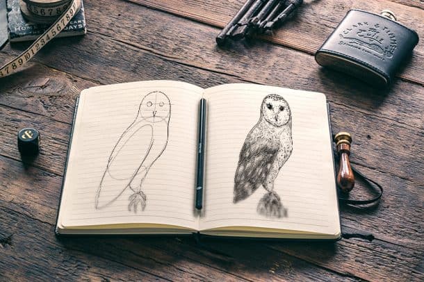 How to Draw an Owl - Our In-Depth Realistic Owl Drawing Tutorial