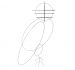 How to Draw an Owl - Our In-Depth Realistic Owl Drawing Tutorial