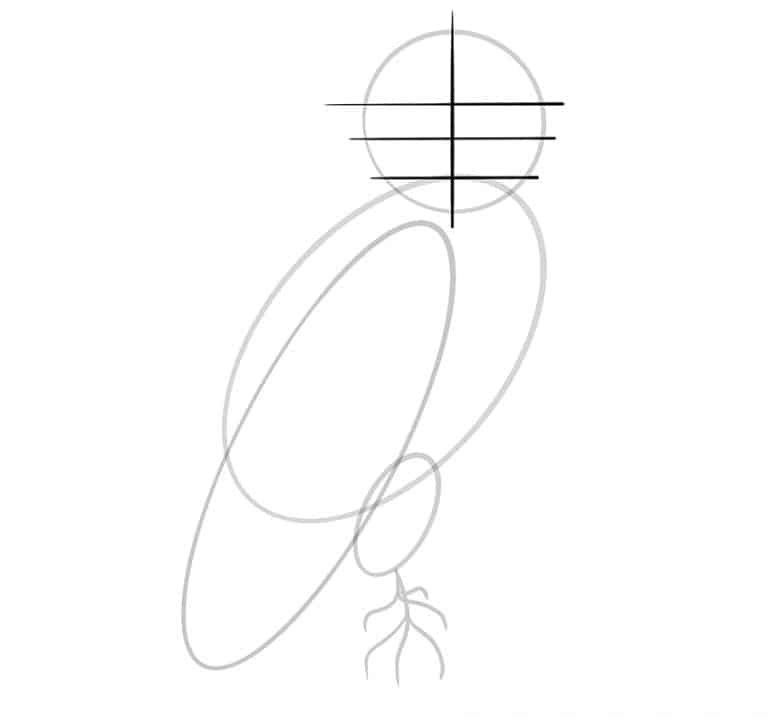 How to Draw an Owl - Our In-Depth Realistic Owl Drawing Tutorial