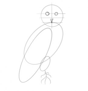 How to Draw an Owl - Our In-Depth Realistic Owl Drawing Tutorial
