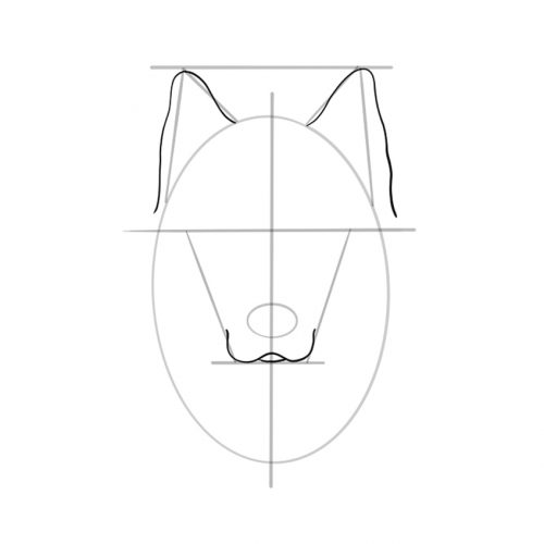 How to Draw a Wolf Head and Face – Simple 10-Step Wolf Drawing Guide