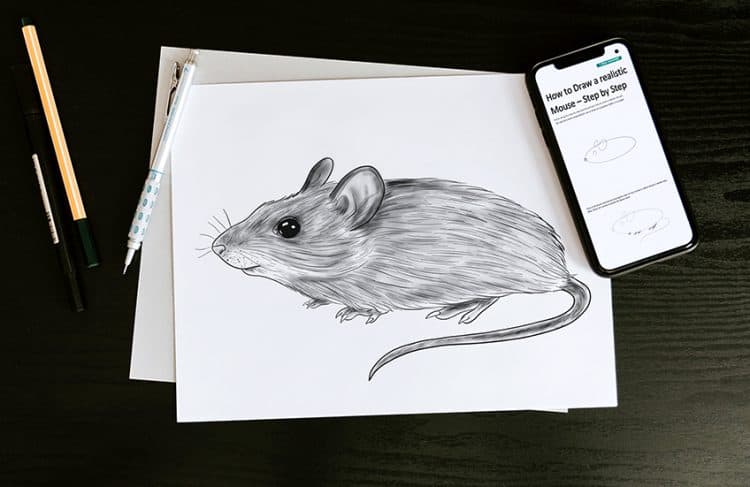 How to Draw a Mouse - The Best Mouse Drawing Tutorial