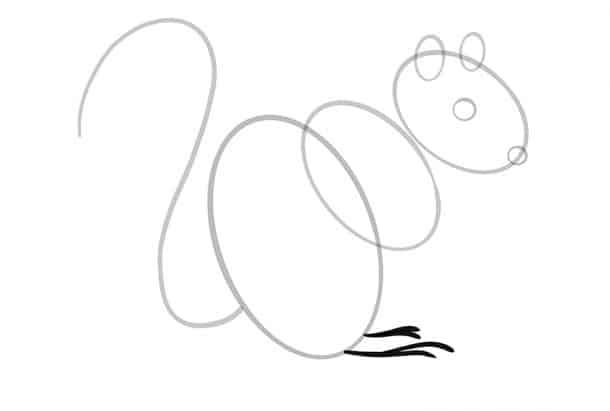 How to Draw a Squirrel - Step-by-Step Squirrel Drawing Tutorial