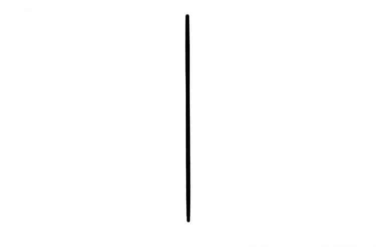 How to Draw a Tree - Step-by-Step Tree Drawing Tutorial