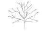 How to Draw a Tree - Step-by-Step Tree Drawing Tutorial