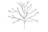 How to Draw a Tree - Step-by-Step Tree Drawing Tutorial
