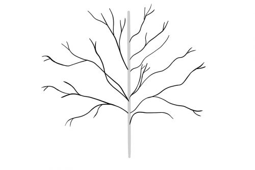 How to Draw a Tree - Step-by-Step Tree Drawing Tutorial