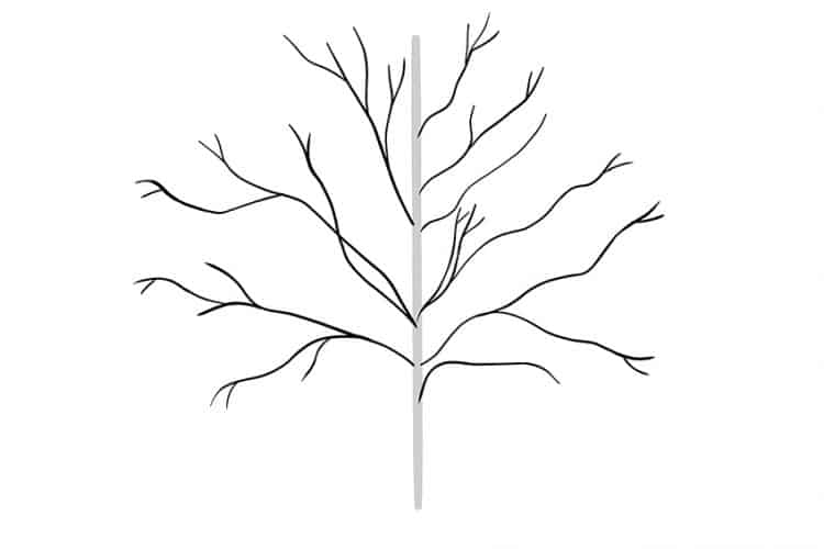 How to Draw a Tree - Step-by-Step Tree Drawing Tutorial