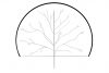How to Draw a Tree - Step-by-Step Tree Drawing Tutorial