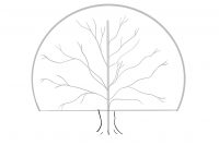 How to Draw a Tree - Step-by-Step Tree Drawing Tutorial