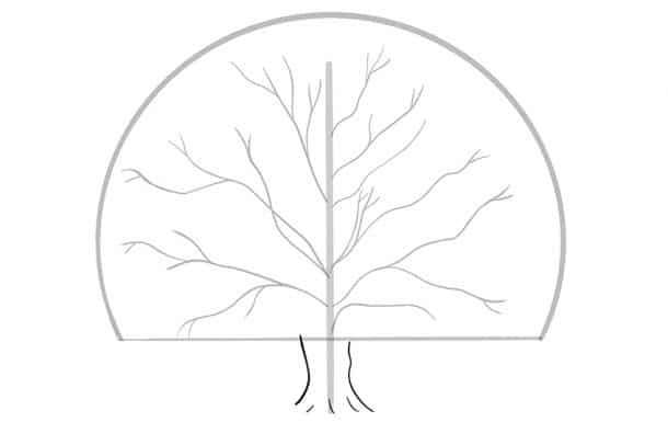 How to Draw a Tree - Step-by-Step Tree Drawing Tutorial