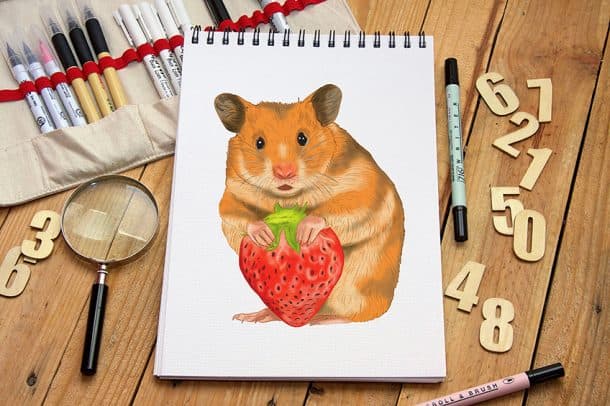 How to Draw a Hamster - Make a Hamster with Strawberry Sketch