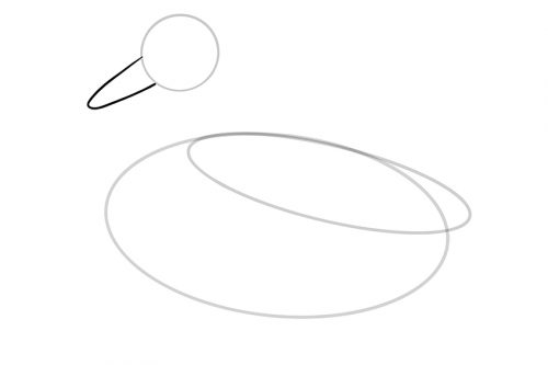 How to Draw a Duck - Step-by-Step Tutorial for a Mallar Sketch