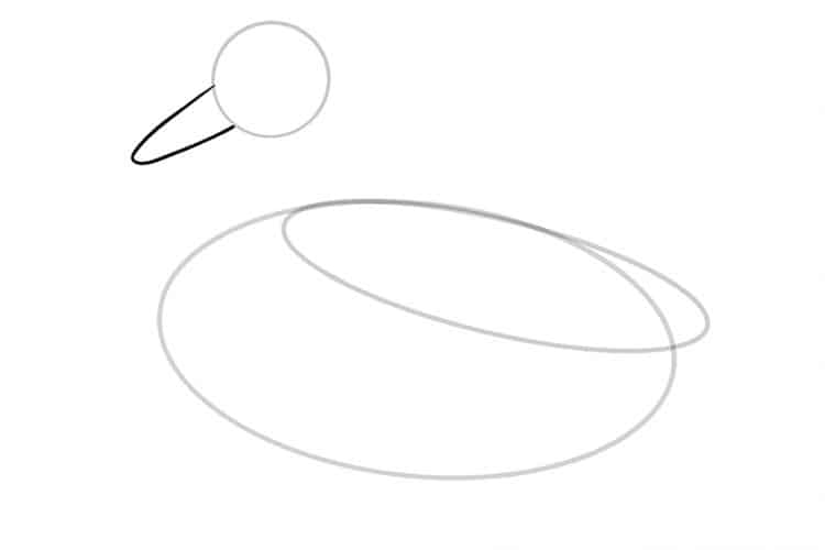 How to Draw a Duck - Step-by-Step Tutorial for a Mallar Sketch