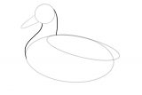 How to Draw a Duck - Step-by-Step Tutorial for a Mallar Sketch