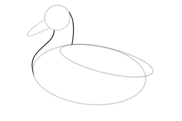 How to Draw a Duck - Step-by-Step Tutorial for a Mallar Sketch