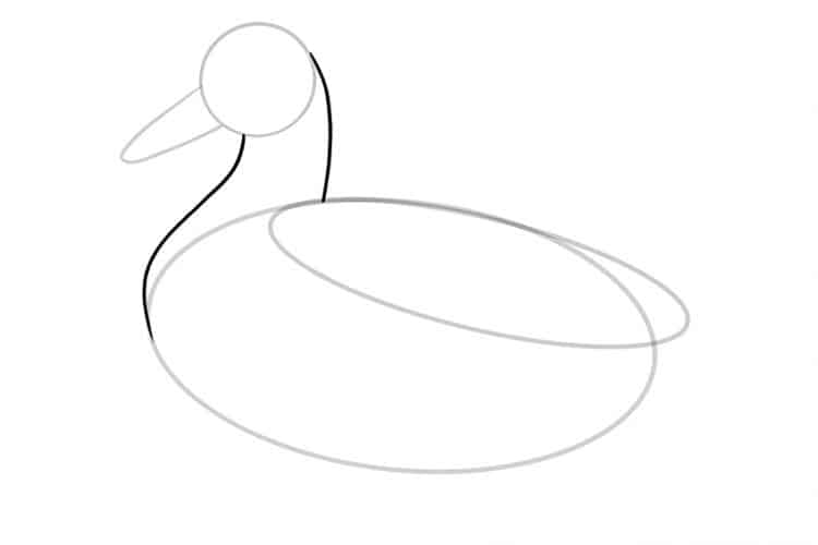 How to Draw a Duck - Step-by-Step Tutorial for a Mallar Sketch