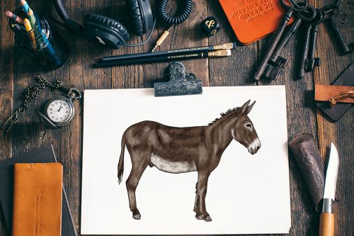 How to Draw a Donkey - Create an Impressive Donkey Sketch