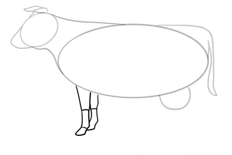 How to Draw a Cow - An Easy Cow Drawing Tutorial