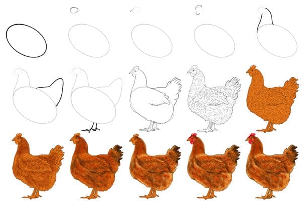 How to Draw a Chicken - An Easy Illustration Tutorial