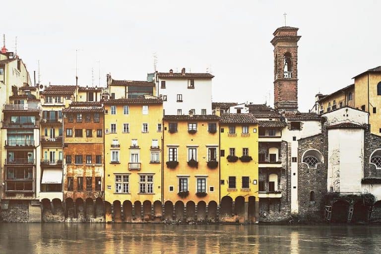 Muted Colors - Learn Everything There Is to Know About Muted Tones