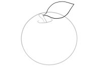 How to Draw an Apple - A Tutorial for Making a Realistic Fruit Sketch