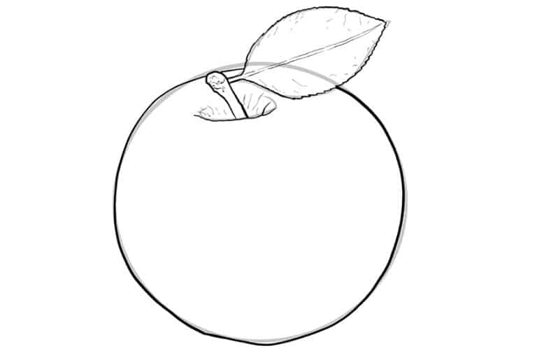 How to Draw an Apple - A Tutorial for Making a Realistic Fruit Sketch