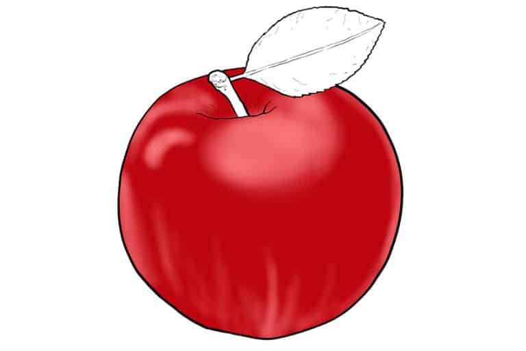 How to Draw an Apple - A Tutorial for Making a Realistic Fruit Sketch