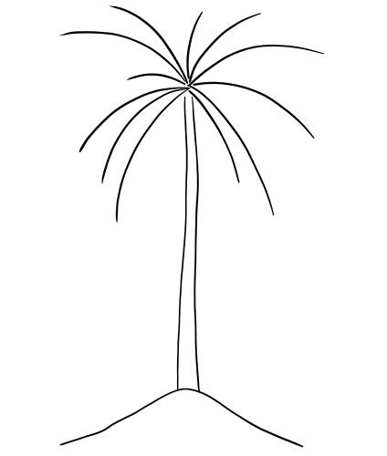 How to Draw a Palm Tree - Our Favorite Beach Tree Drawing Tutorial