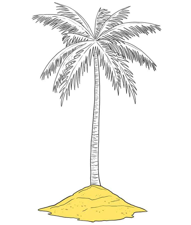 How to Draw a Palm Tree - Our Favorite Beach Tree Drawing Tutorial
