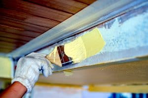 Can You Paint Over Mold? - How to Fix Mold Damage for Good