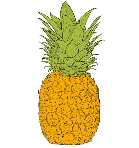 How to Draw a Pineapple - Tropical Fruit Sketching Session