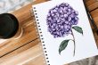 How to Draw a Hydrangea - Capture the Beauty of Hortensia