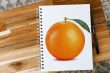 How to Draw an Orange - Our Simple Drawing Tutorial