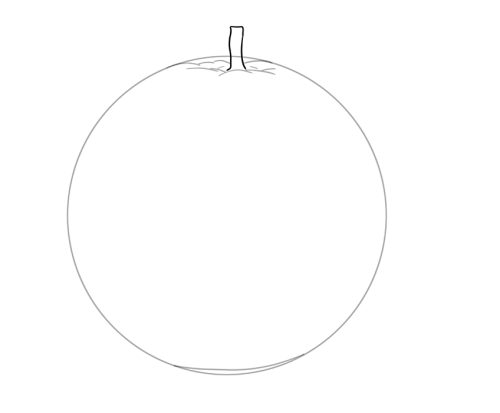 How to Draw an Orange - Our Simple Drawing Tutorial