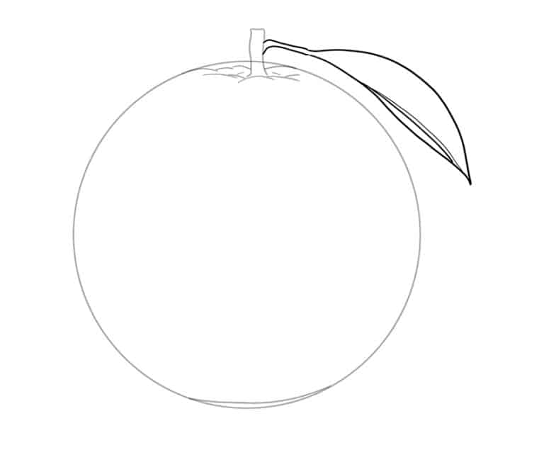 How to Draw an Orange - Our Simple Drawing Tutorial
