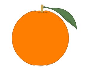 How to Draw an Orange - Our Simple Drawing Tutorial
