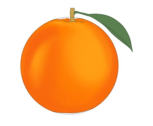 How to Draw an Orange - Our Simple Drawing Tutorial